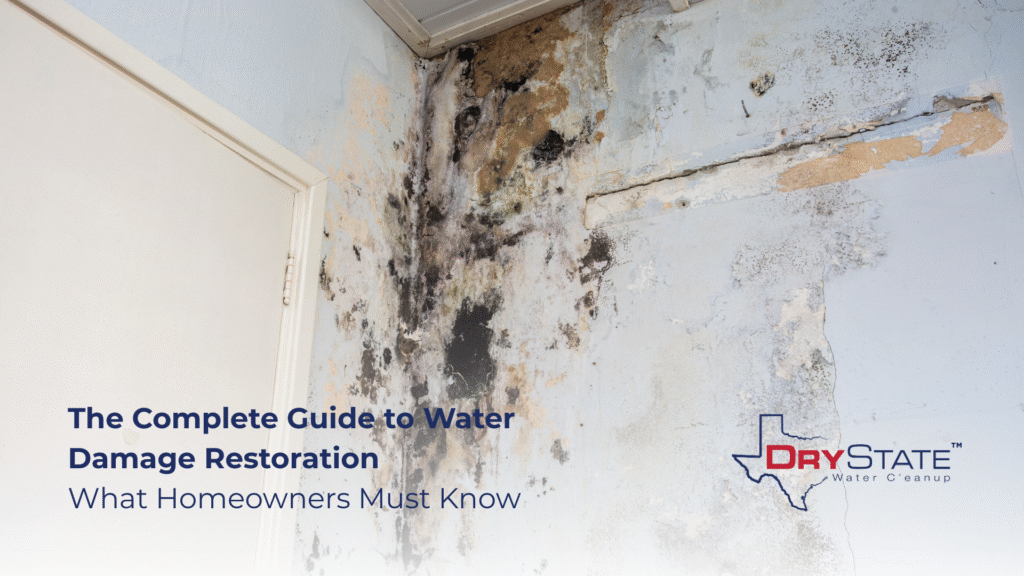 The Complete Guide to Water Damage Restoration